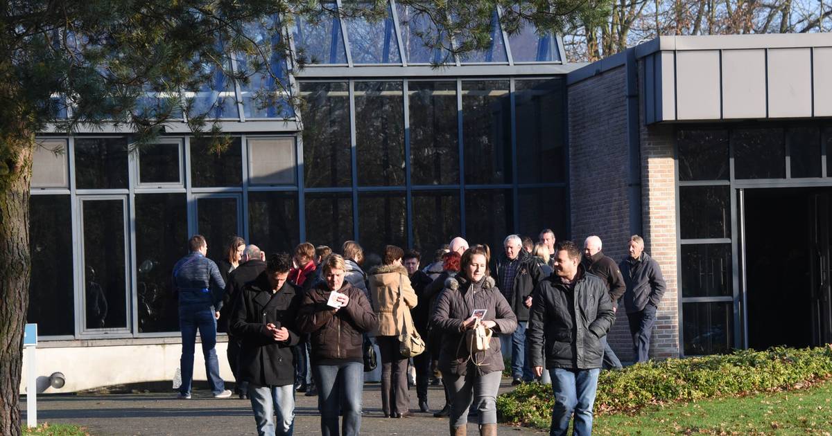 "Lelijk beest heeft je weggehaald" | Dessel | hln.be