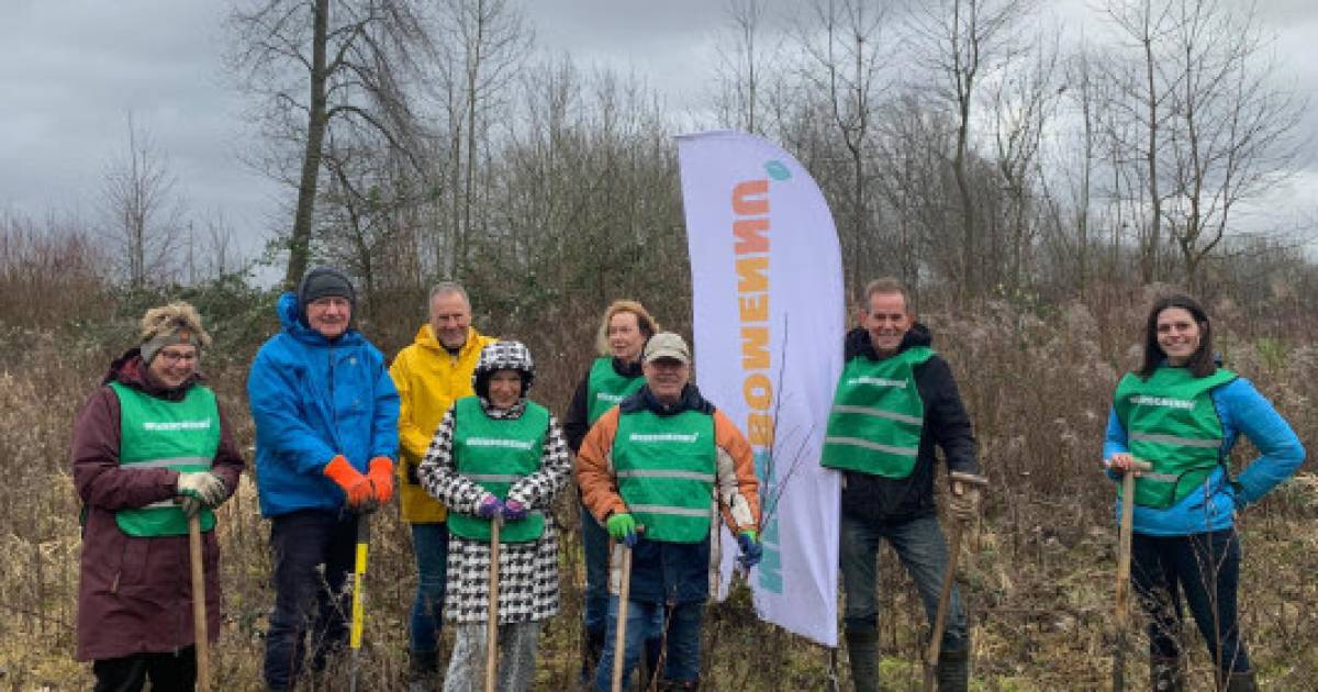 20.000 bomen en struiken in Flevoland krijgen een tweede kans dankzij verplantactie van Meer ...