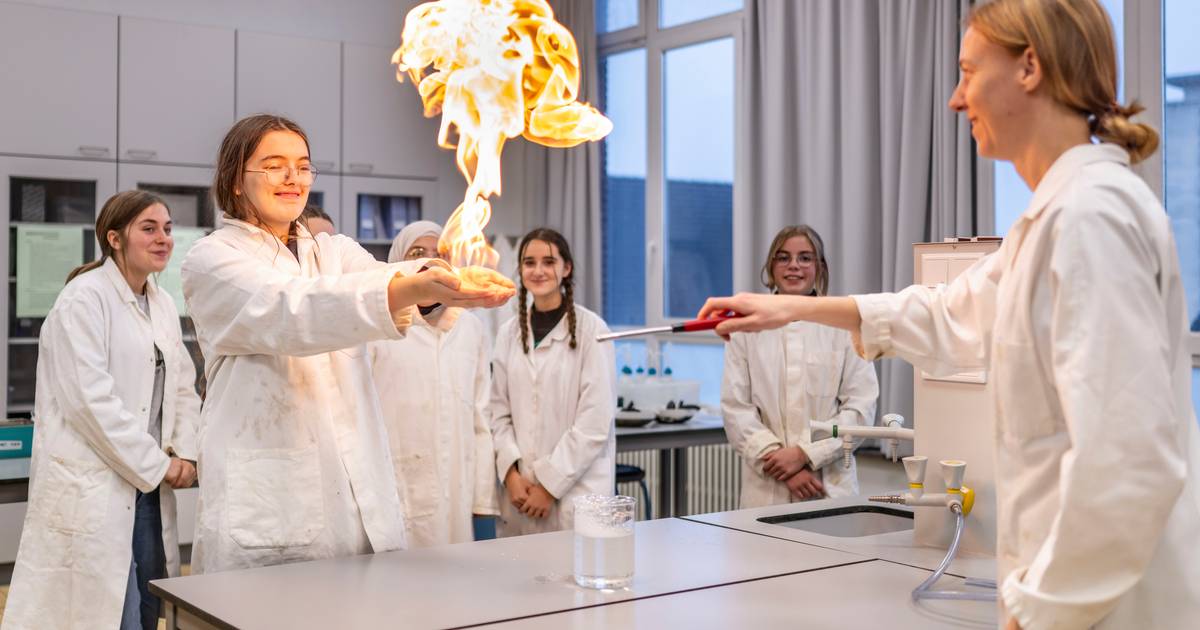 Atheneum sluit warmste maand af met workshops | Dendermonde | hln.be