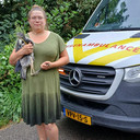 Als Lisanne zieke reiger ziet, springt ze zó water in: ‘Belde dierenambulance met spartelend ...
