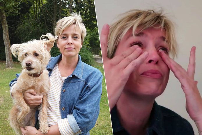 Britt Van Marsenille ondervindt in ‘Factcheckers’ hoe zwaar werken in ...