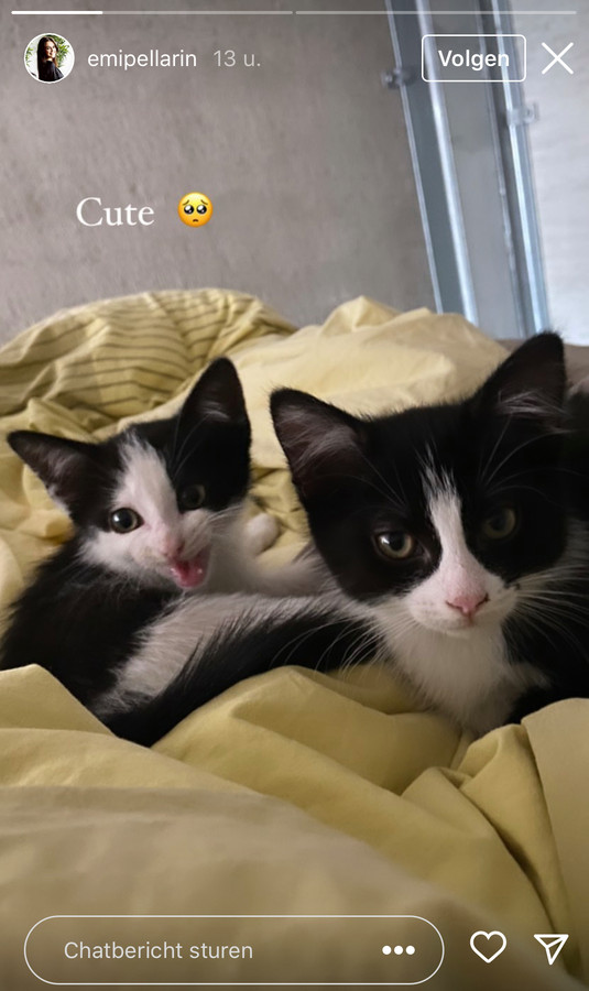 Boer Kim en Emi uit ‘Boer zkt vrouw’ wonen officieel samen én doen aan ...