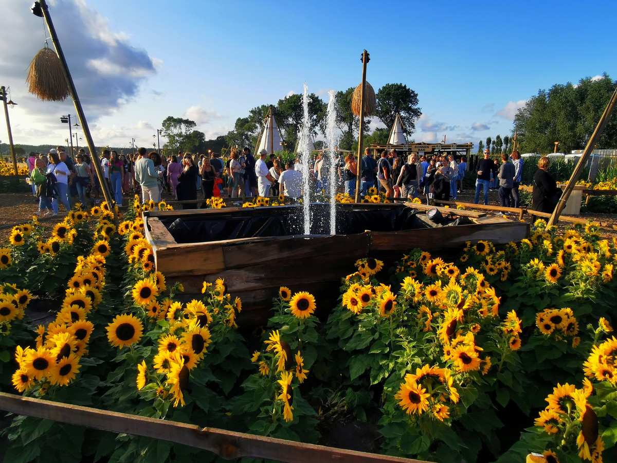 IN BEELD. Campo Solar in Damme start onder stralende zon | Foto | hln.be