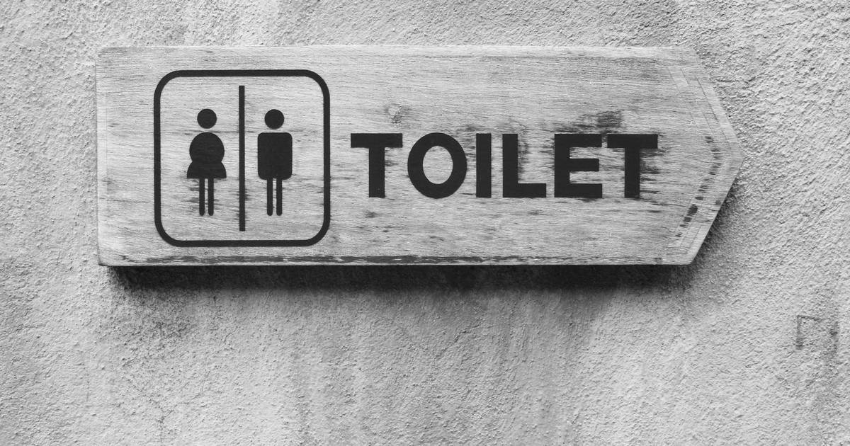 Dringend naar het toilet? In deze gemeenten vind je geen of weinig ...