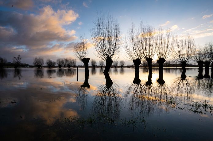 Zo mooi is de natuur in het Meetjesland: kalender 2024 toont mooiste ...