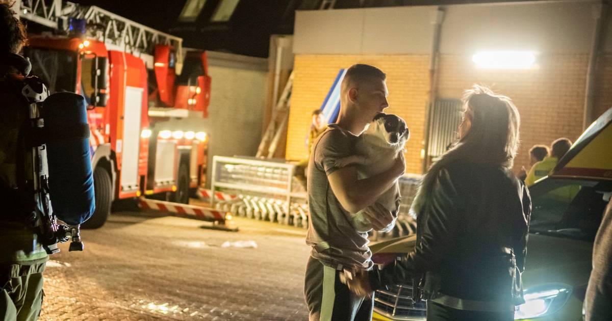 Brandweer redt bewoners en hondje van dak appartementencomplex Driebergen | Utrecht | AD.nl