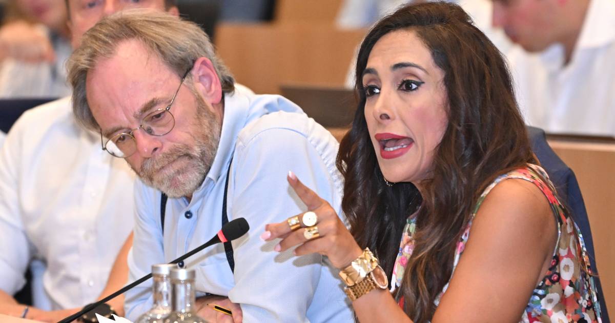 La députée N-VA Darya Safai: “Grâce à vous, la Belgique est le terrain ...