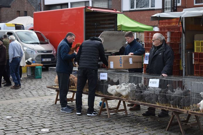 Zo wil Mol zijn 140 jaar oude dierenmarkt redden: “We trekken met ...