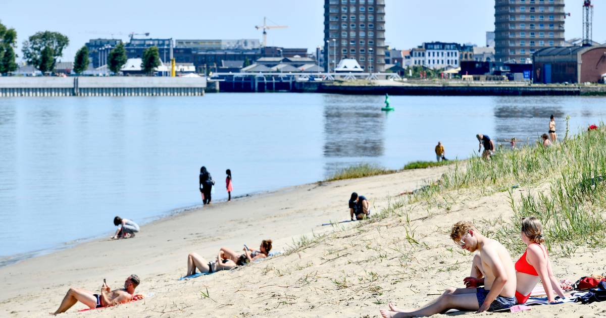 REPORTAGE. Op het strand van Sint-Anneke: “We waren al dikkenekken en ...
