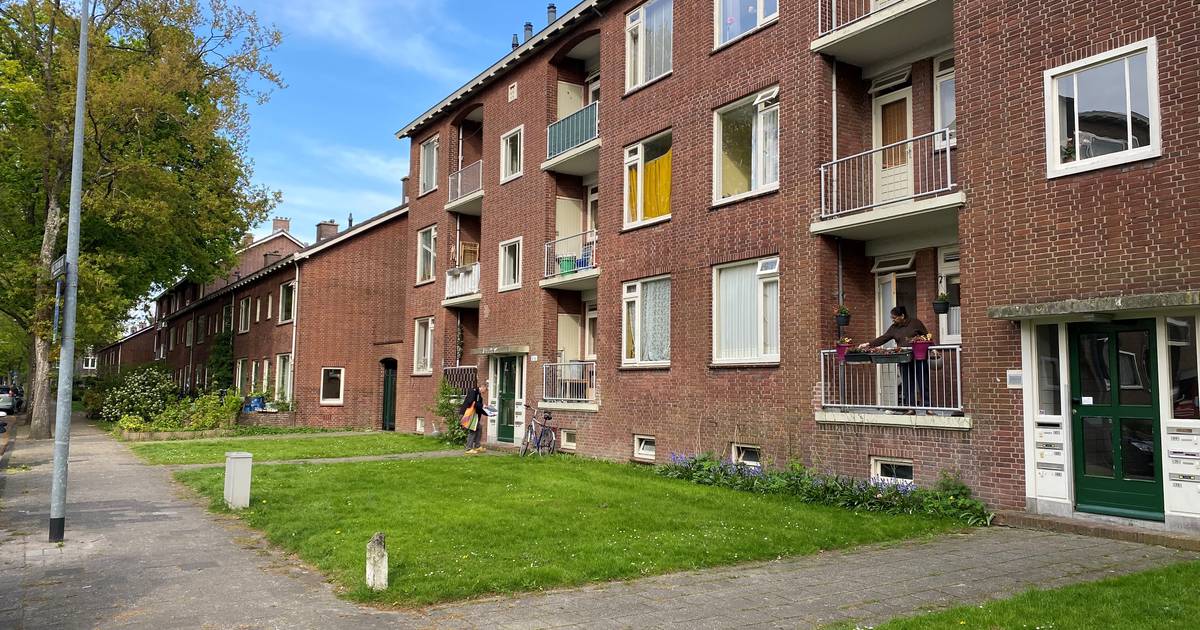 Gescheiden en met spoed op zoek naar een huis, in Rijswijk zijn daar nu ...