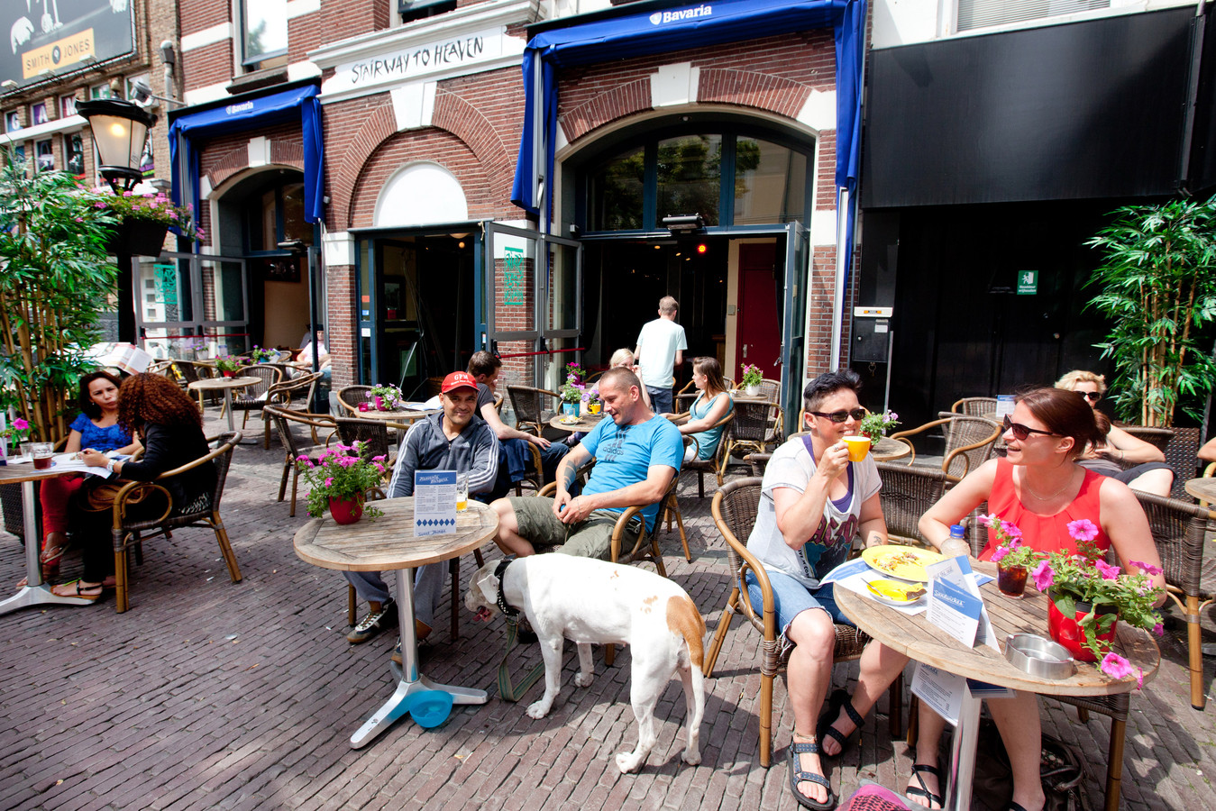 Volop bier voor de vinder kat Henk Westbroek | Foto | AD.nl