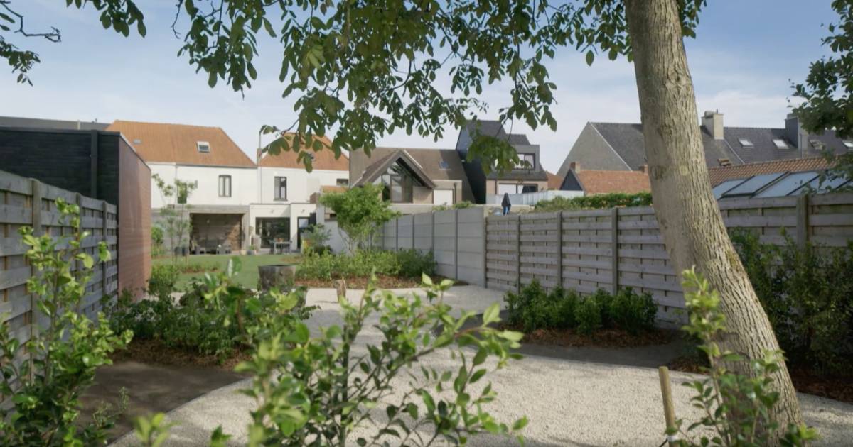 Van saai grasveld naar gezellige familietuin: kale tuin krijgt ...