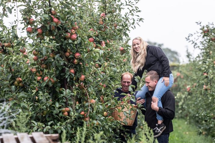 Plukken voor de voedselbank: ‘Iedereen met een grote zak appels weer ...