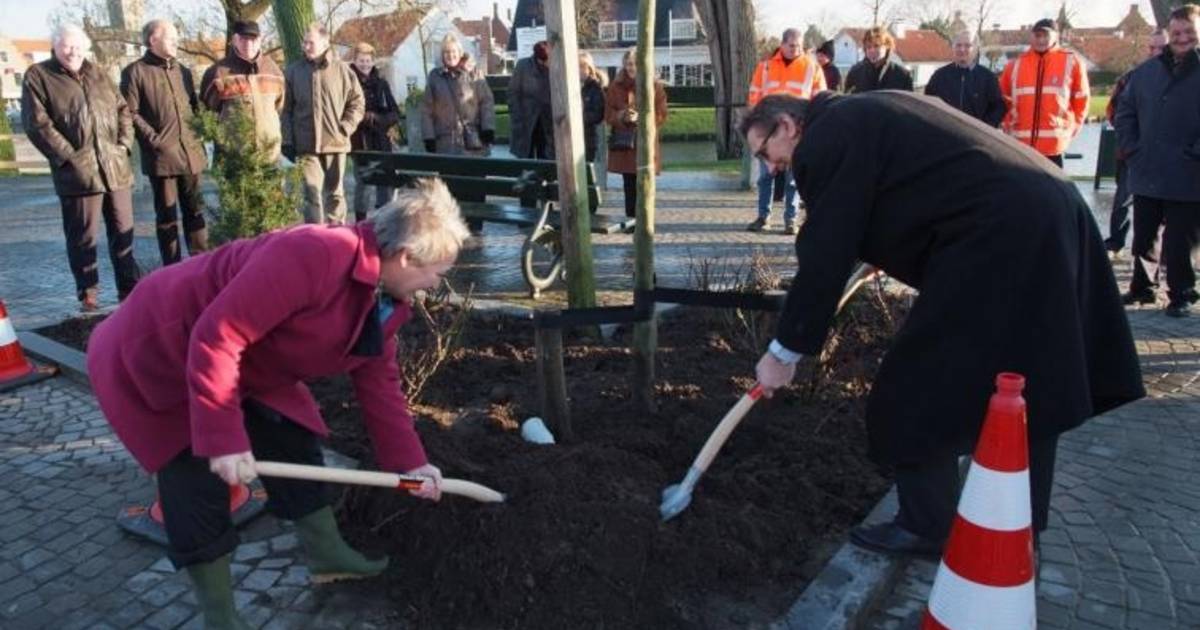 Rode kerspruim symbool voor Sluis als groenste stad van Nederland ...