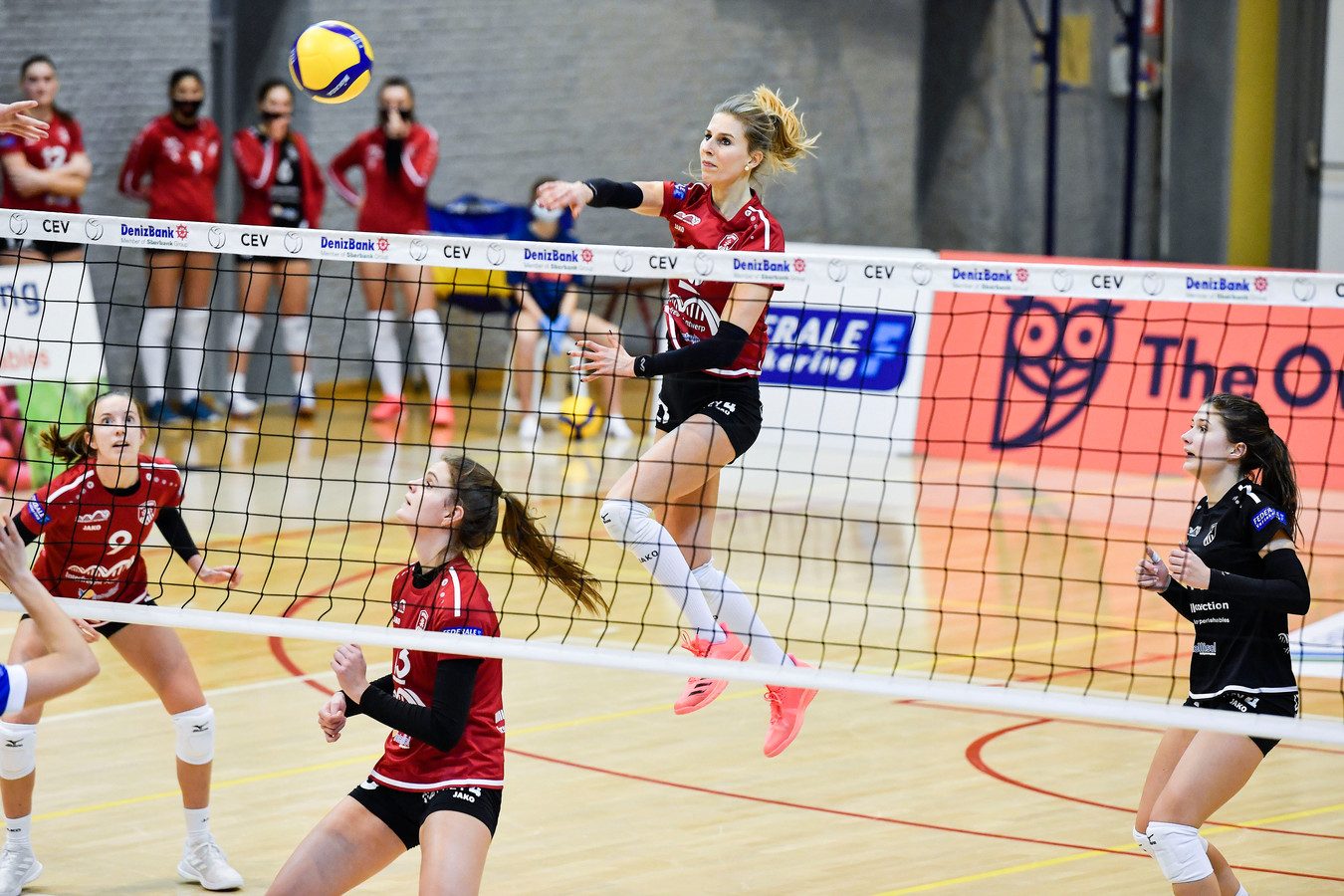 Antwerp Ladies toont progressie tegen Gent, maar laat tweemaal setwinst ...