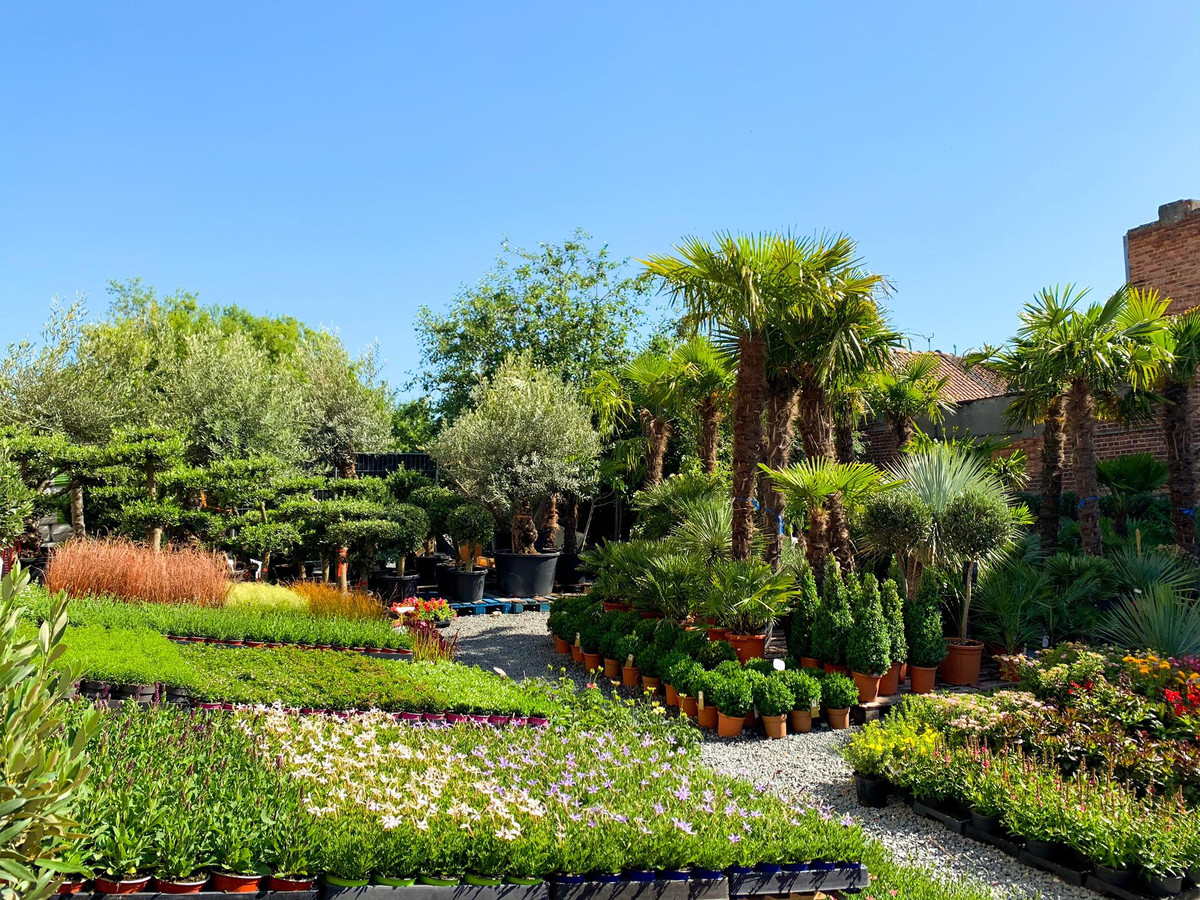 Met de hulp van deze 7 tuincentra in de Denderstreek en de Vlaamse ...