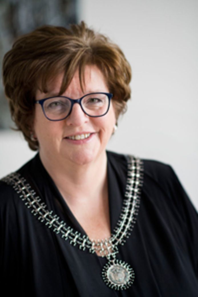 Burgemeester Donders van Roermond treedt af | Limburg | AD.nl