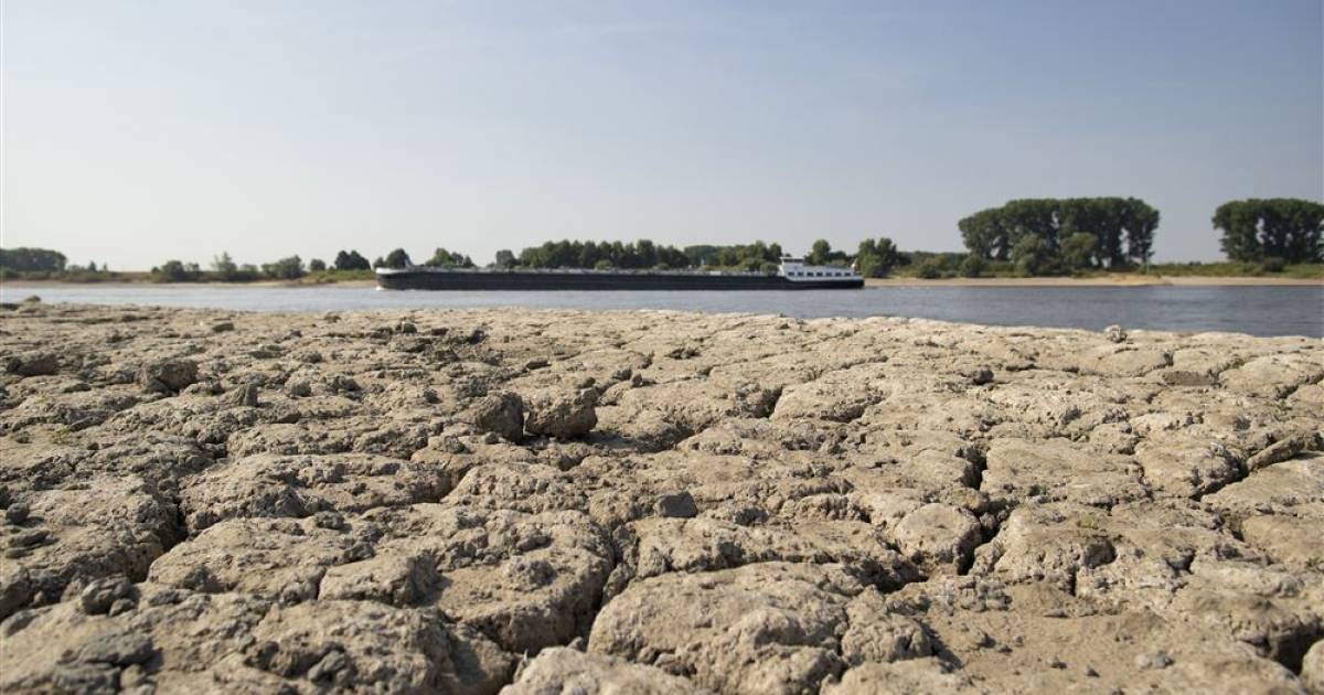 Watertekort: wat gaan we daar in Brabant van merken? | Brabant ...