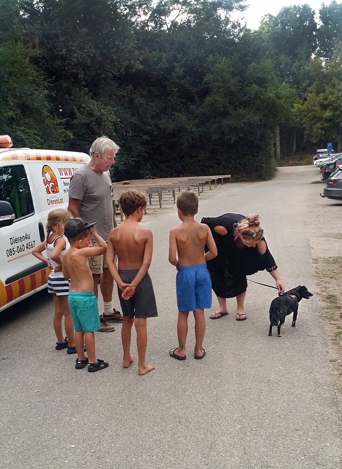 Kinderen die hondje terugvonden voelen zich 'superhelden' | Voorne ...