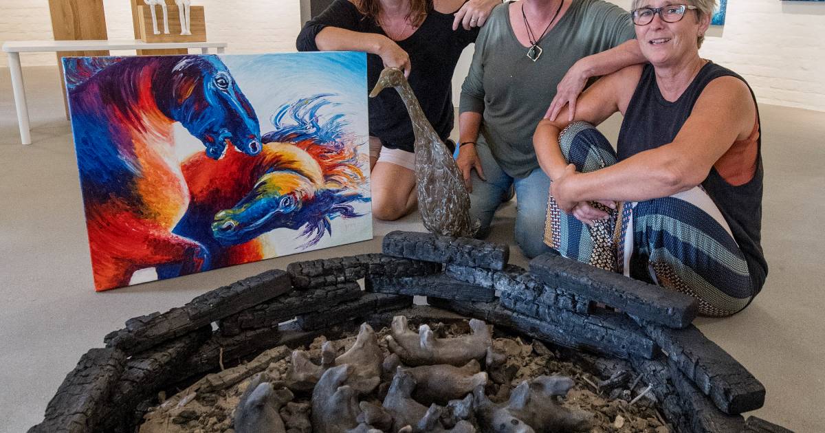 Knorhof varkentjes, flamingo's en loopvogels in atelier in Buren ...