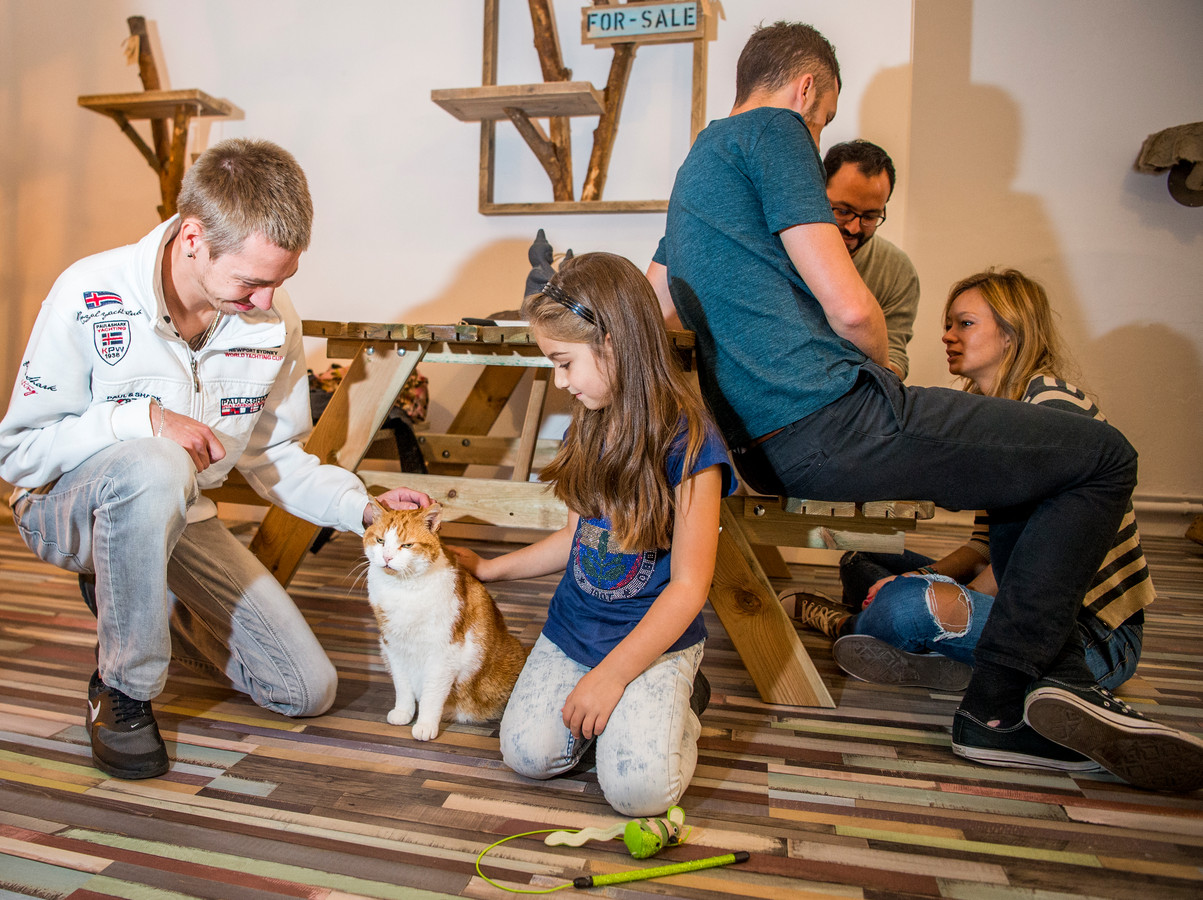 Het water staat deze ondernemers aan de lippen, en nu komt er ook nog ...