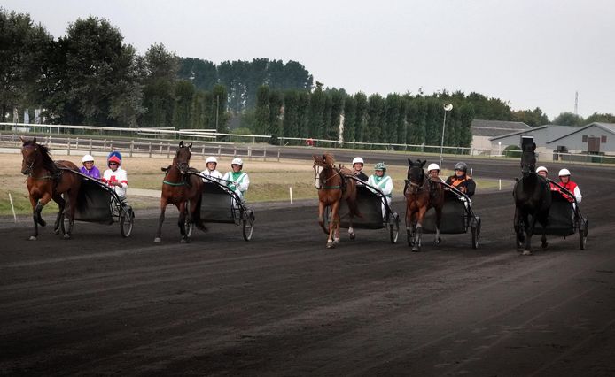 Ruiter Ludo Philippaerts en voetballer Jelle Vossen zakken af naar ...