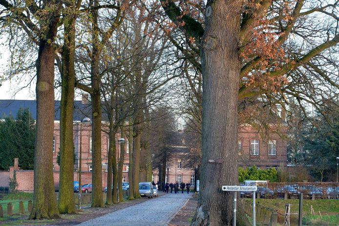 Drugshond reageert positief op bezoeker gevangenis: “Geen smokkel, maar ...