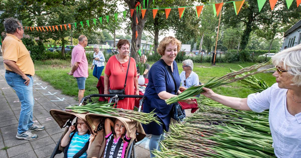 Al ruim 3000 euro voor Marikenhuis, boeren gaan dinsdag ook gladiolen verkopen | Heumen ...