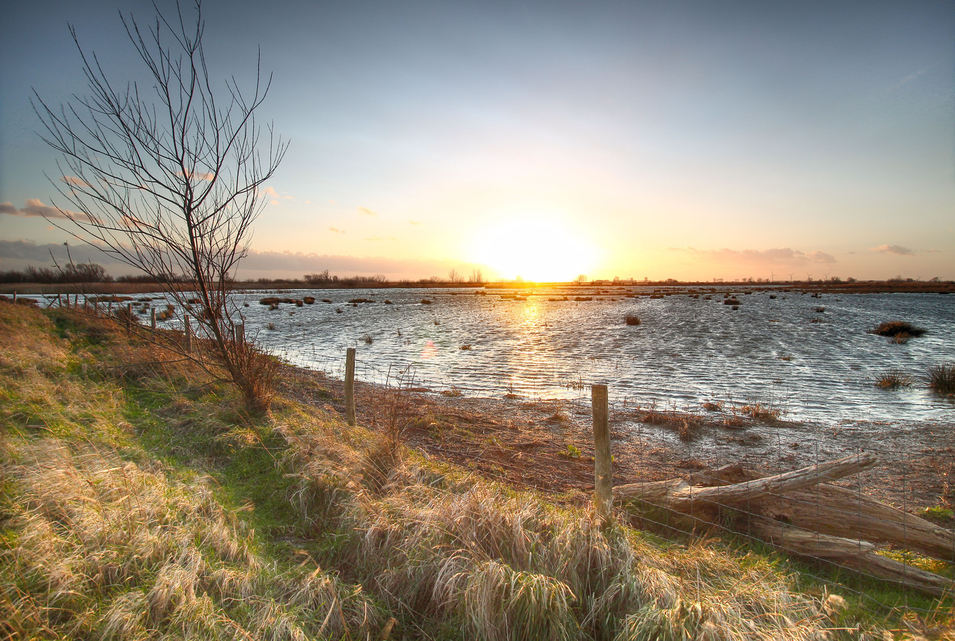 Wandelaars hekelen vele rotzooi in natuurgebieden | Foto | AD.nl
