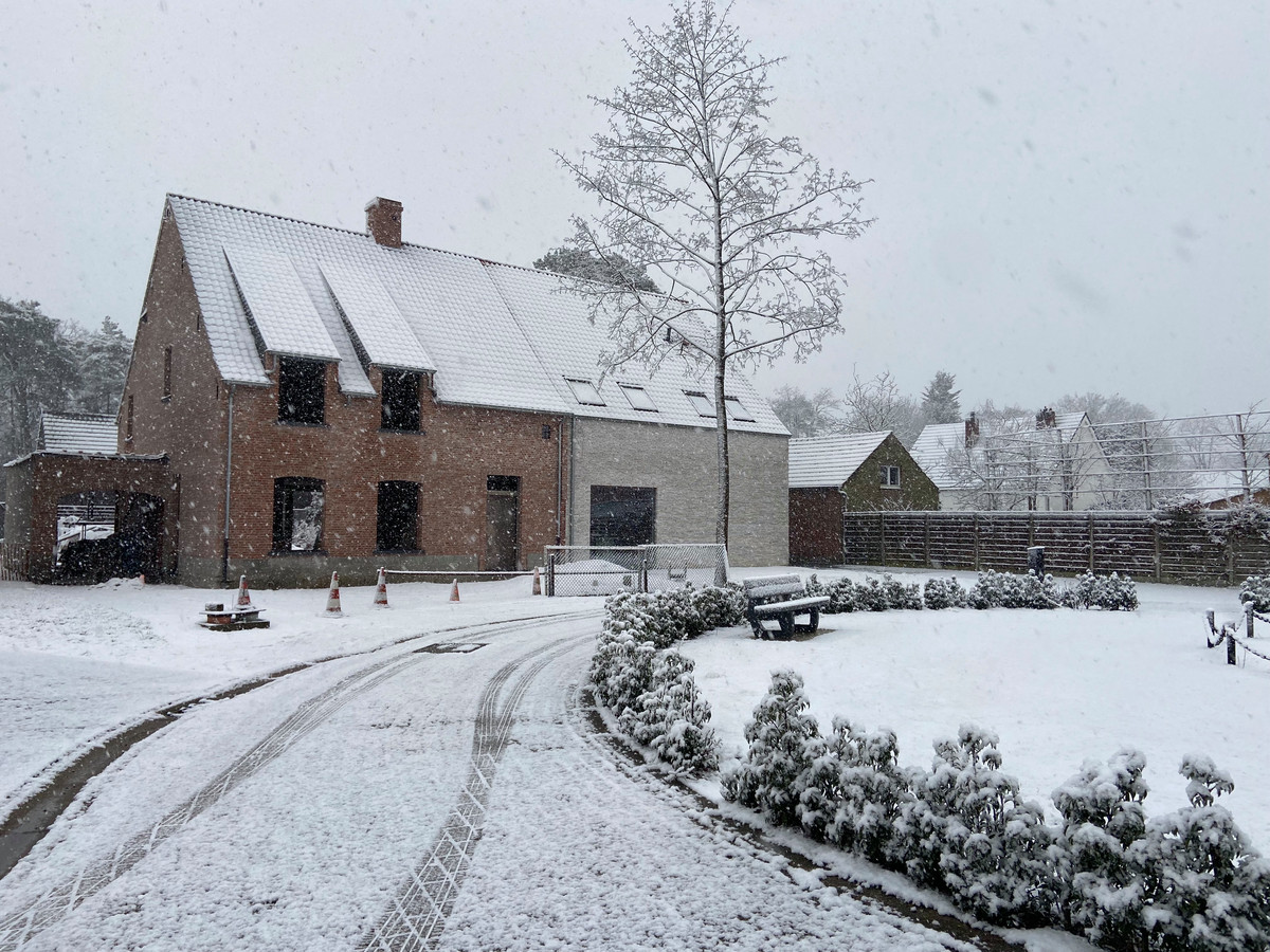 IN BEELD. Witte woensdagmorgen in Zoersel | Foto | hln.be