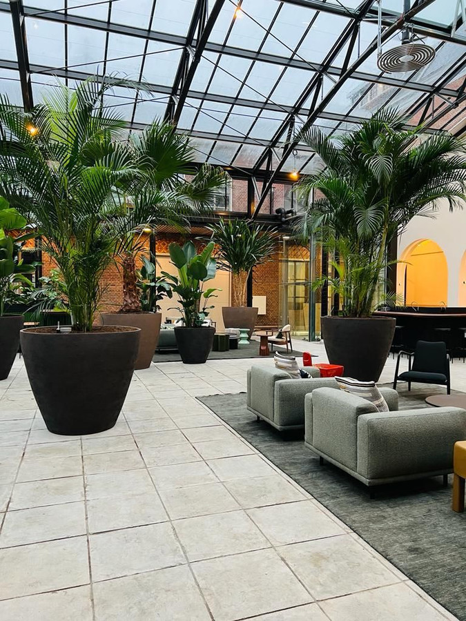 Bewoners Breda Botanique al gesetteld, nu nog de puntjes op de i bij de ...