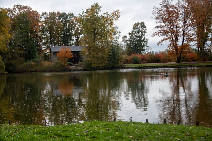10 jaar Recreatiedomein Het Prullenbos: We willen het domein ecologisch ...