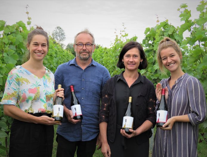Danny verbouwt Spagnie wijn op de grens van Oostnieuwkerke en ...