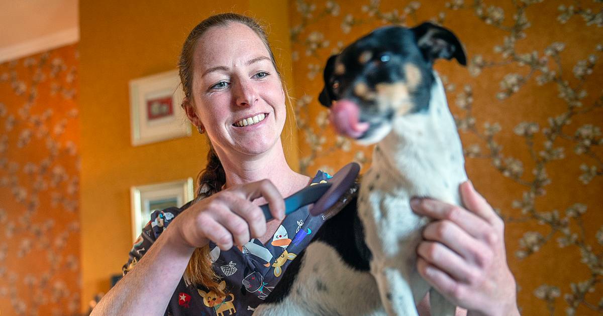 Na verkoop restaurant en sabbatical is Josephine klaar voor nieuw ...