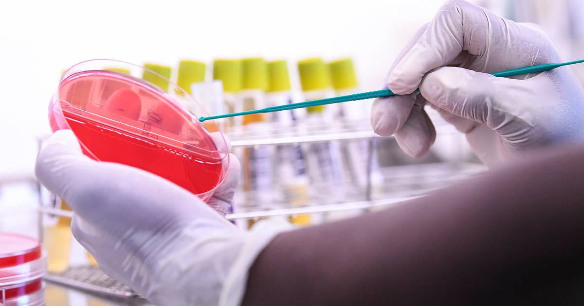 Antwerpse onderzoekers vinden als eerste medicijn tegen gevaarlijke ...