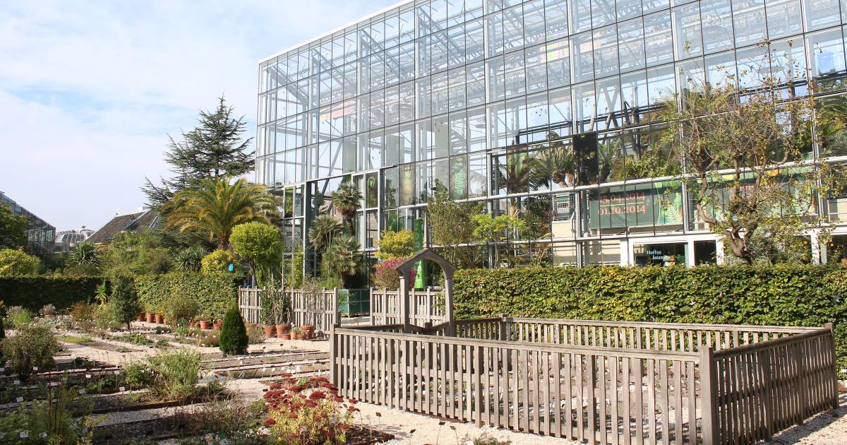 Bezoekersrecord voor Hortus Botanicus in Leiden | Leiden | AD.nl