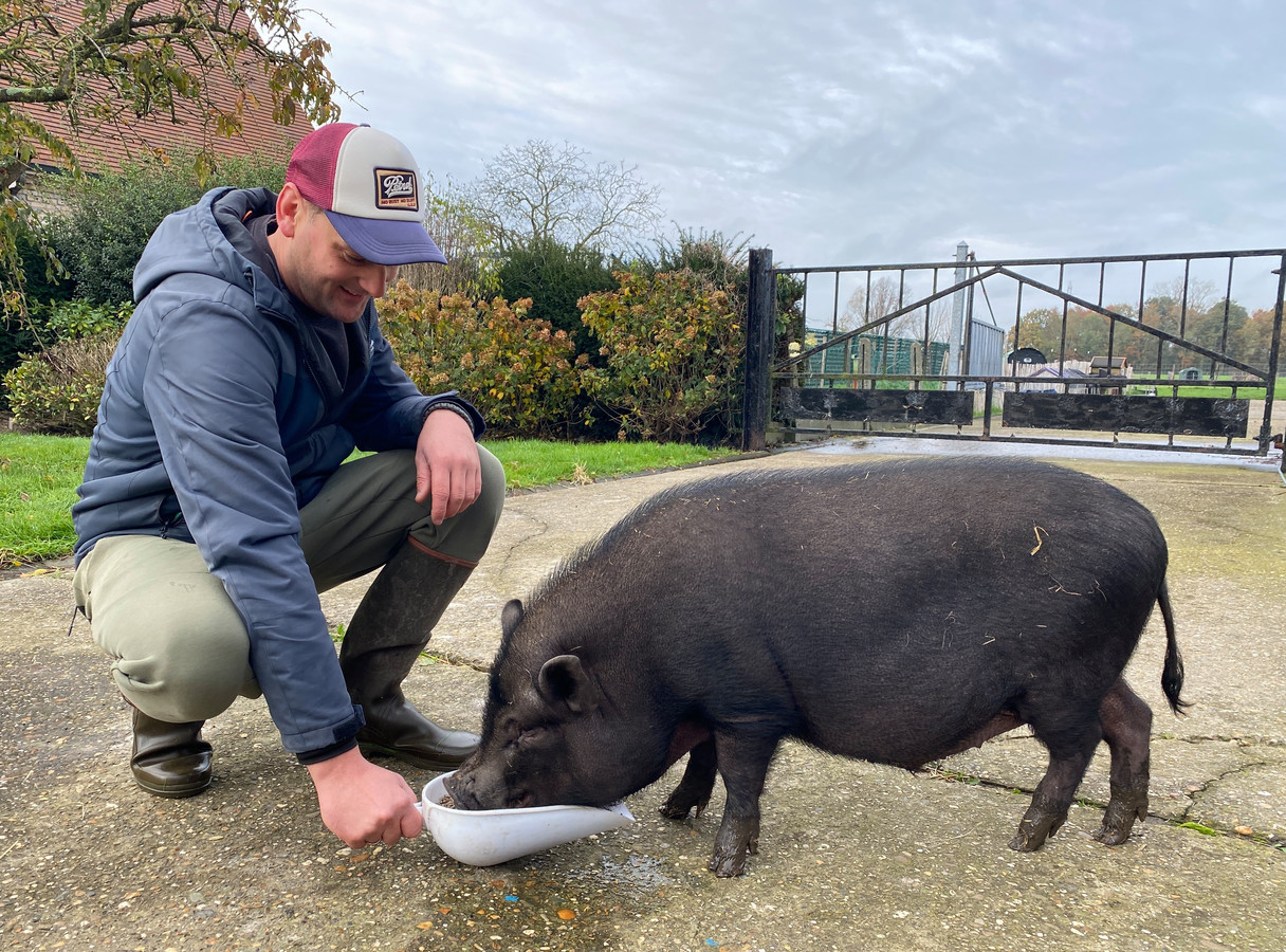 Twee bevriende koppels willen kinderboerderij starten in Baarle: “Buurt ...