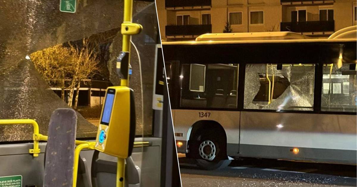 “Bukken, iedereen!”: alweer bus beschadigd op Linkeroever, chauffeurs ...