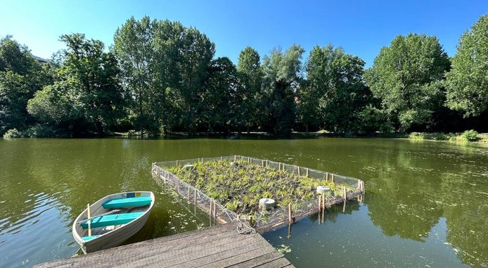 Des îles flottantes végétalisées voient le jour dans les étangs ...