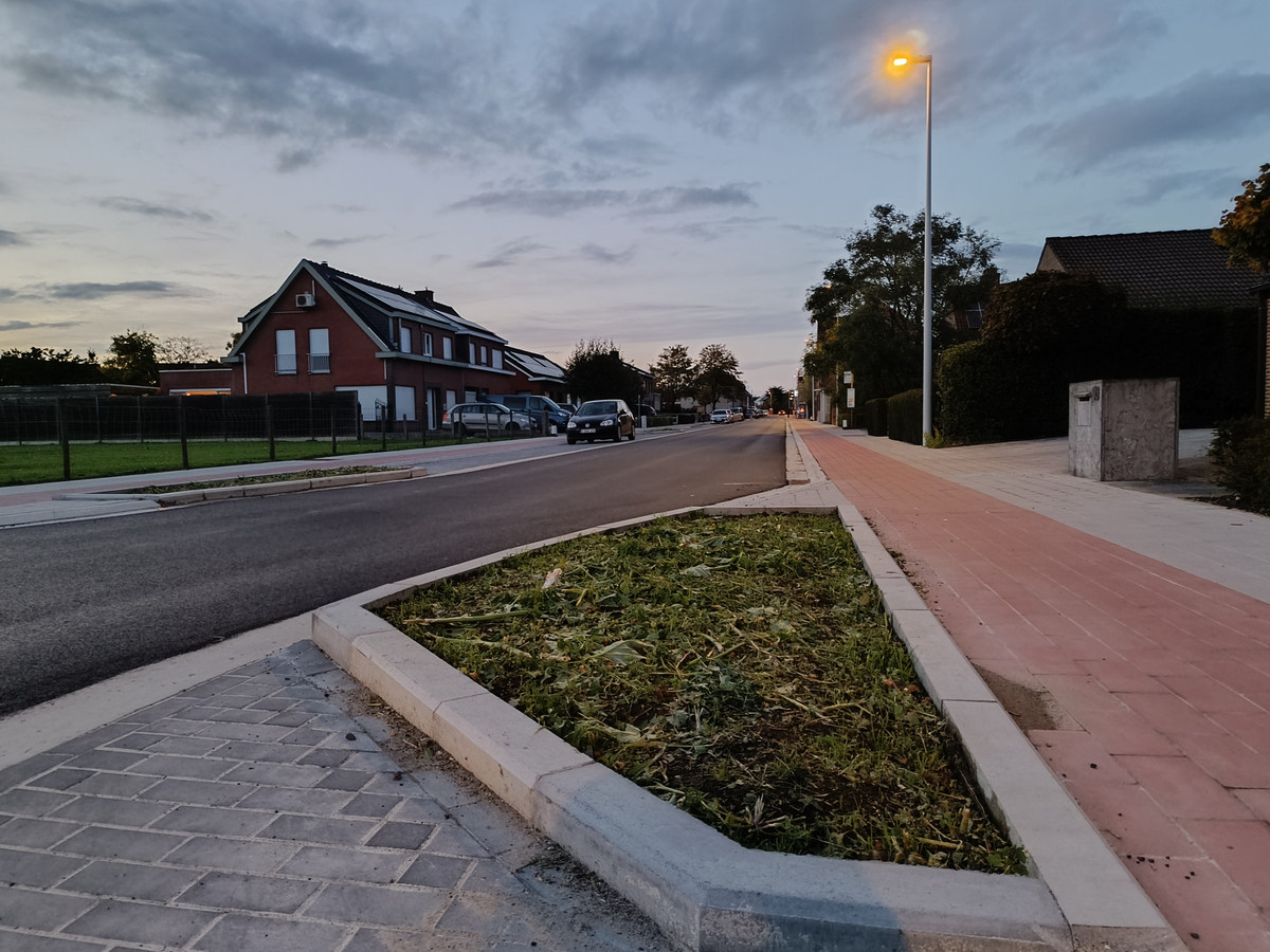 Werken Overheulestraat na bijna twee jaar eindelijk voorbij | Foto | hln.be