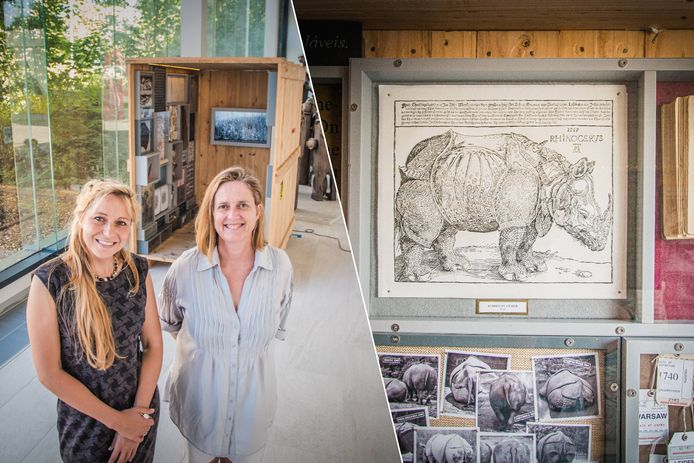 Tentoonstelling op universiteit toont hoe neushoorn stilaan verdwijnt ...