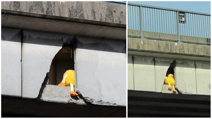 Mysterieuze pop aan viaduct Kleine Bareel houdt sociale media in de ban ...