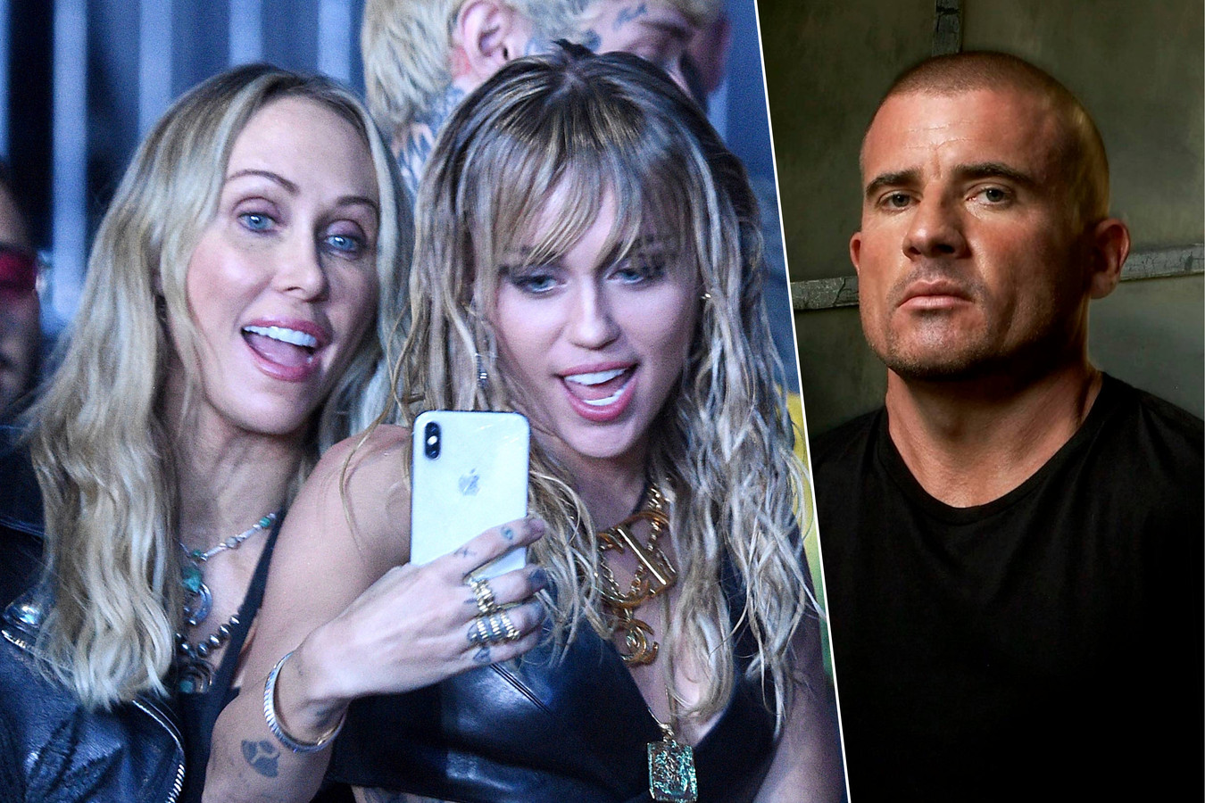 Miley Cyrus bruidsmeisje op het huwelijk van haar moeder Tish en ...