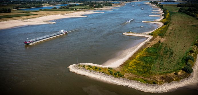 Waterkoningen? Ook de kennis van uitdrukkingen schiet tekort | columns ...