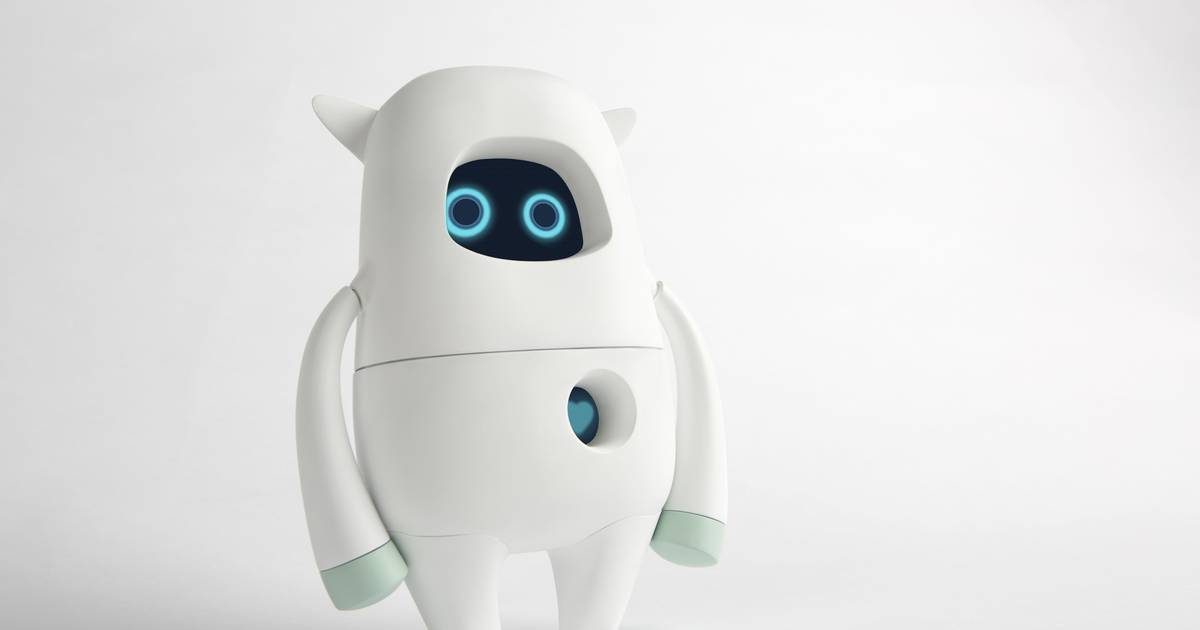 Hello Robot in Gent | De Krant | hln.be