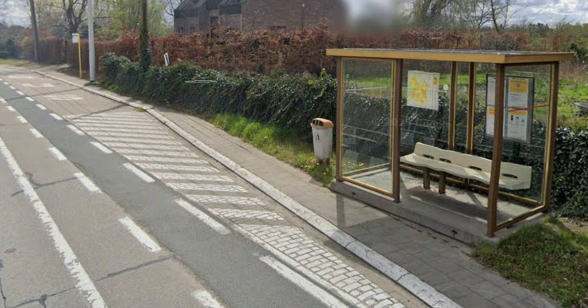 Aanpassing haltehaven Mechelsesteenweg: volgende week werken aan ...