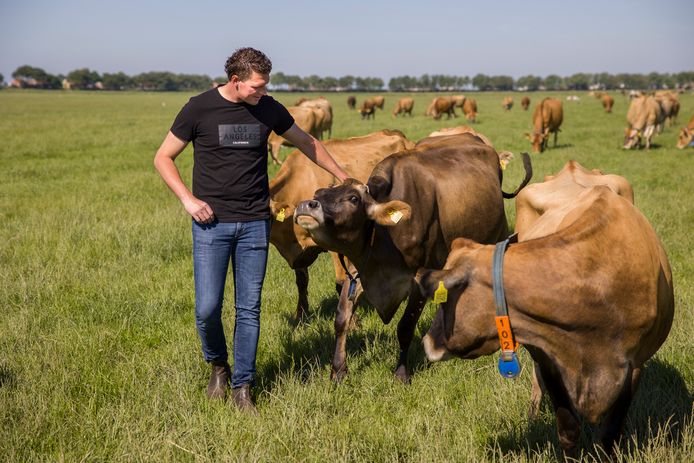Matthijs is een jonge boer met onzekere toekomst: ‘Dit lost het ...