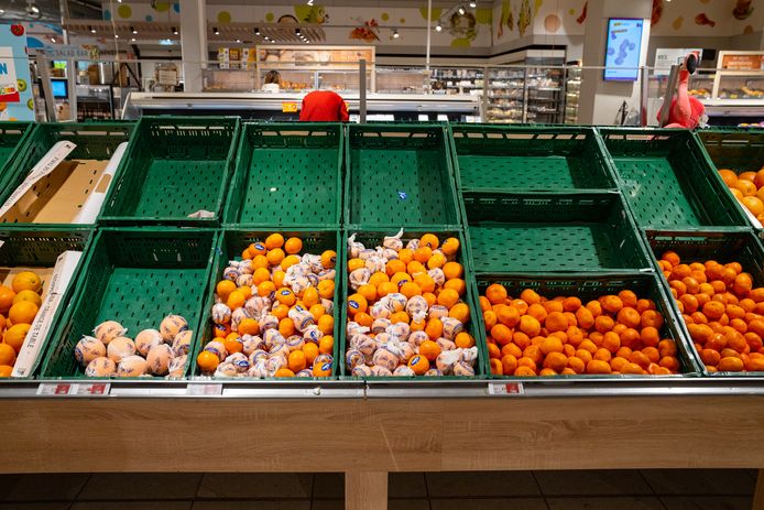 ‘Vogelvrije’ Delhaize in Antwerpen weer eventjes open, maar personeel ...