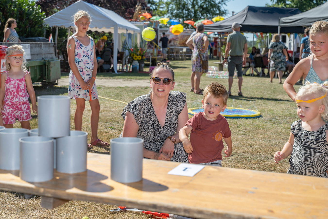 Hans Bongers is nieuwe schutterskoning in Holterhoek | Foto | tubantia.nl
