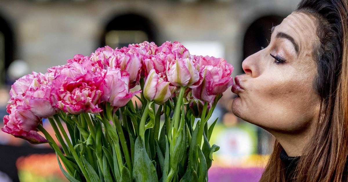 Quinty Trustfull doopt eigen tulp | Show | AD.nl